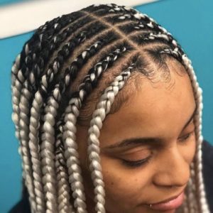 Middle Part Tribal Braids (Pictures)